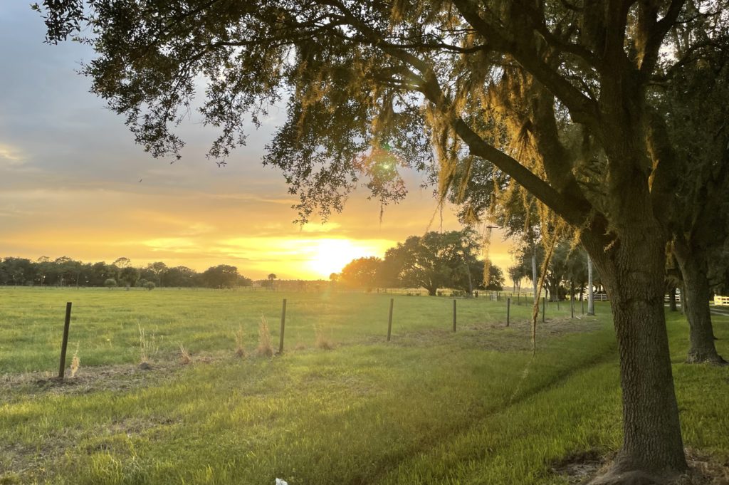 A Look into a Hearing God Retreat - Sixty-One Acres